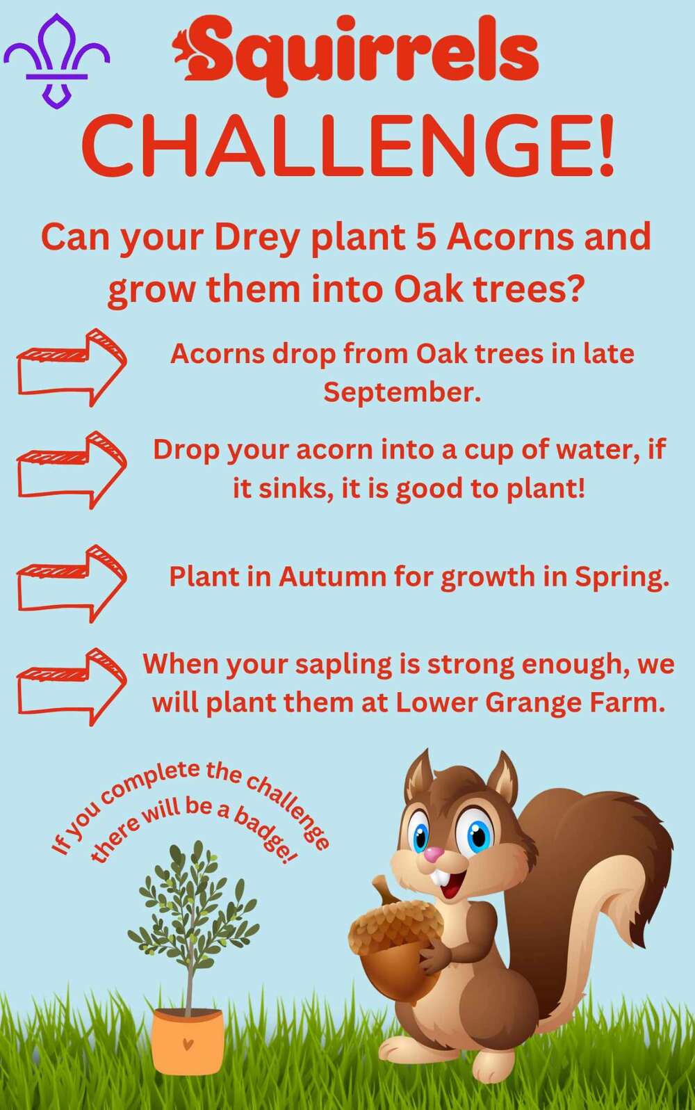 Squirrels - Acorn Challenge | Kent Scouts